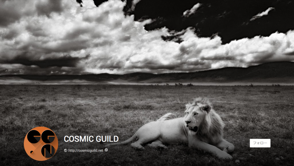 google plus pageを開設しました。 | COSMIC GUILD NET